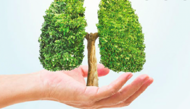How to protect your lungs through three simple tricks - 1on1 Tutor Blog
